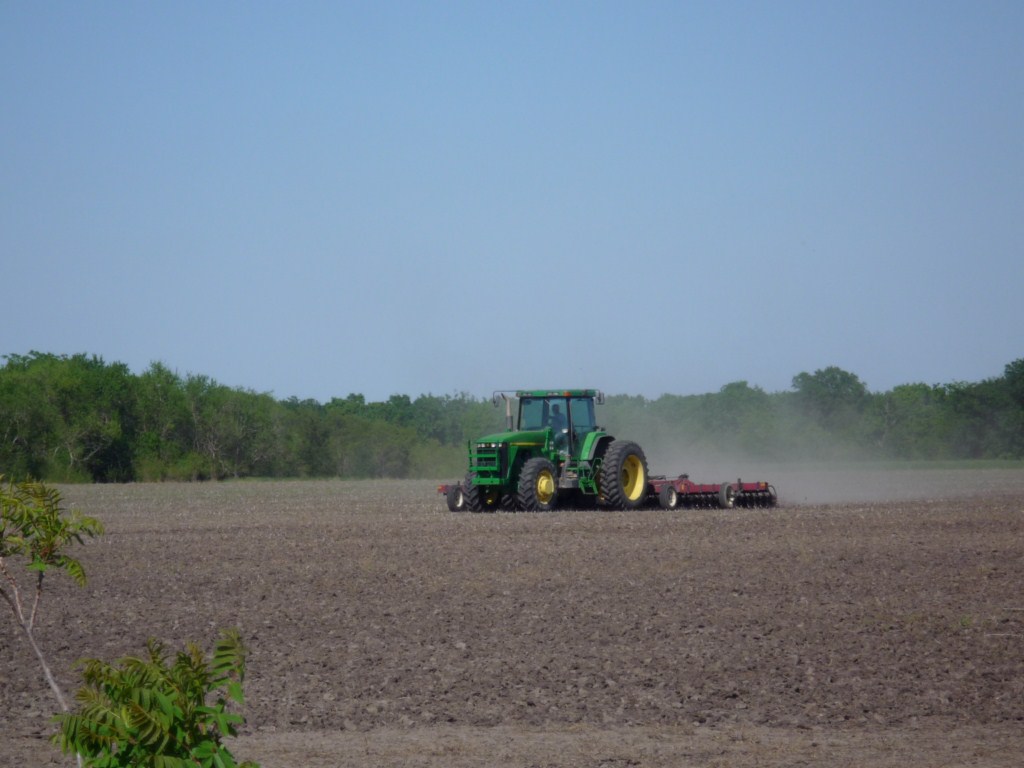 Cross Thought: Keeping livestock for a more sustainable food system
